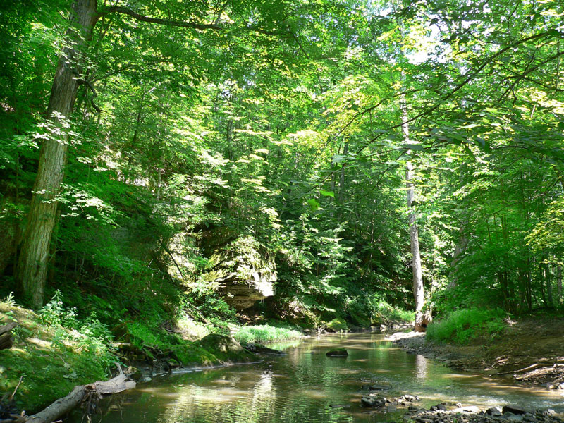 DNR: Nature Preserves: Newest Nature Preserves